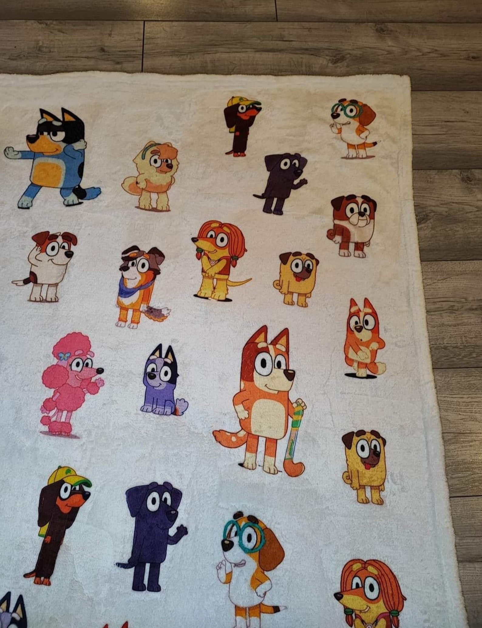 Bluey Blanket, Personalised Bluey Snuggle Blanket, Personalised Blanket ...