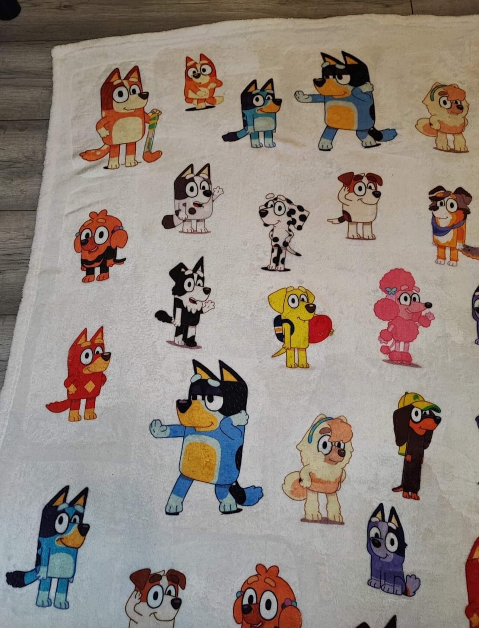 Bluey Blanket, Personalised Bluey Snuggle Blanket, Personalised Blanket ...