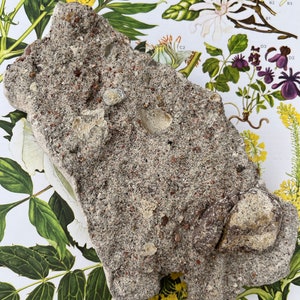 Native Coloradan Conglomerate Rock With Gems - Etsy