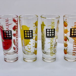 Circle Ware Design Double Shot Glasses, Different Fruits Pattern. Made ...