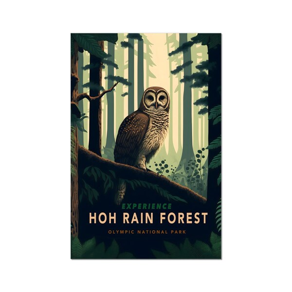 Rain Forest Poster - Etsy