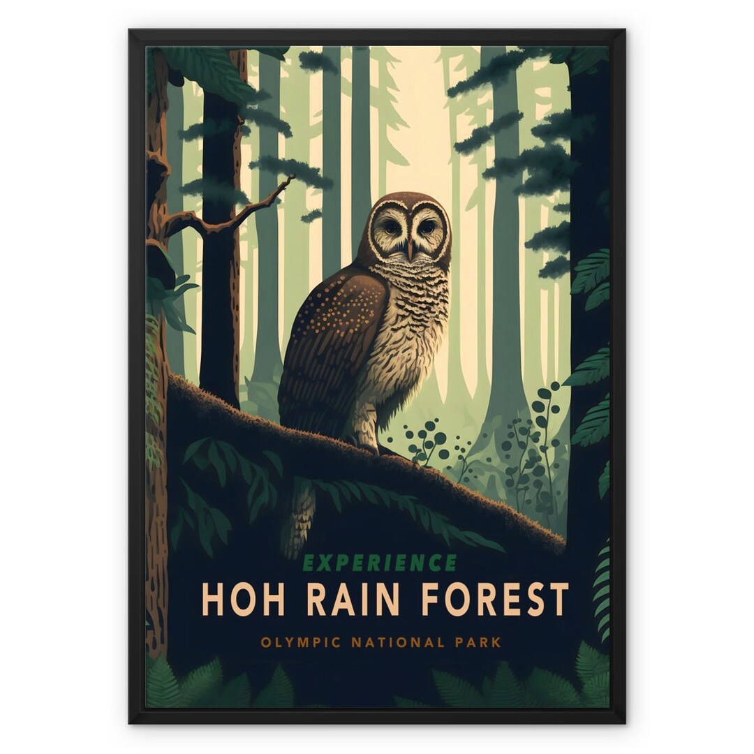 Hoh Rain Forest Olympic National Park Retro Travel Poster Wall Art - Etsy