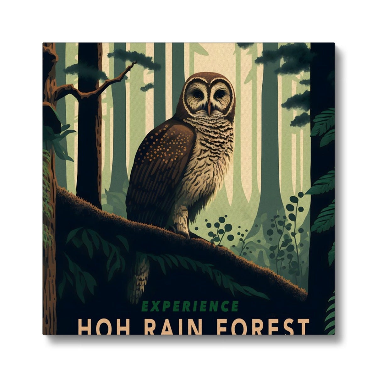 Hoh Rain Forest Olympic National Park Retro Travel Poster Wall Art - Etsy