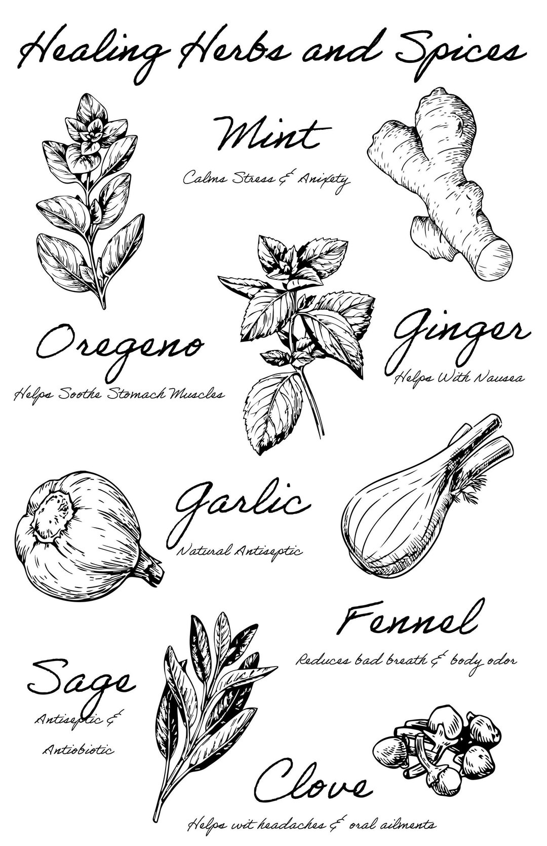 Healing Herbs & Spices Wall Art - Etsy