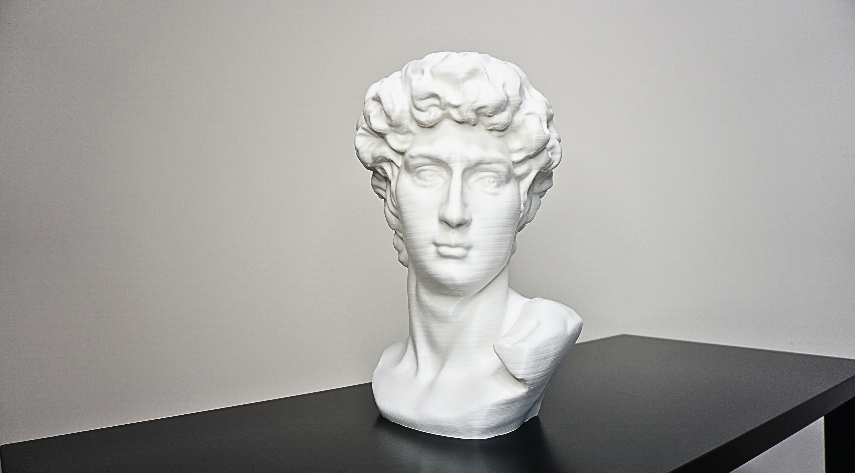 Michelangelo's David | 3D Printed Interior Detail - Etsy