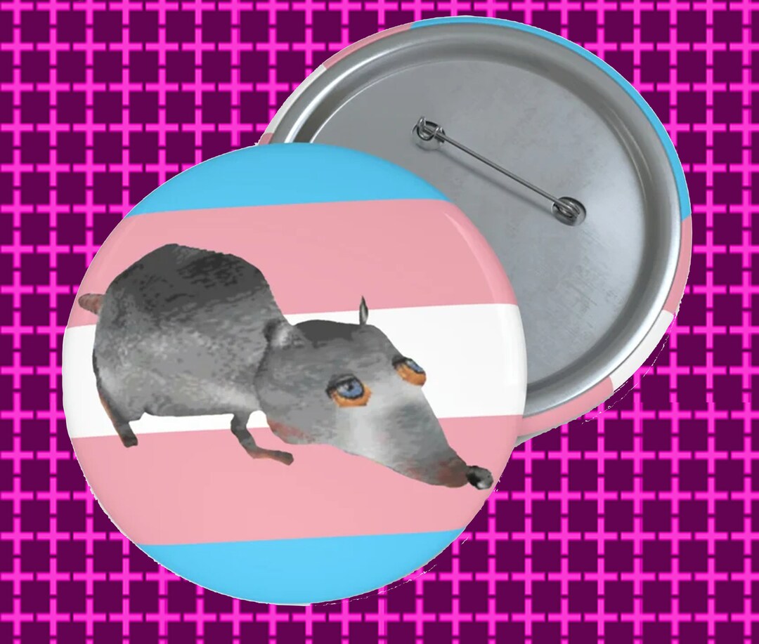 Jerma985 the Rats Transgender Pride Flag Pin Button - Etsy