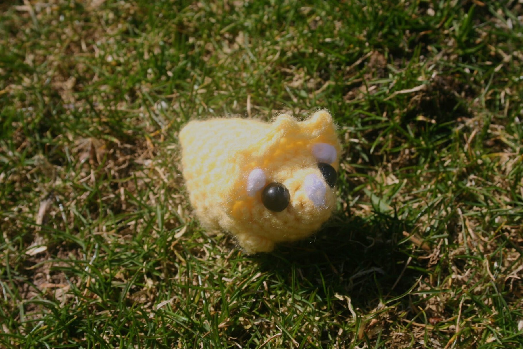 Mini Crochet Dino - MADE TO ORDER | Crochet Triceratops | Crochet ...