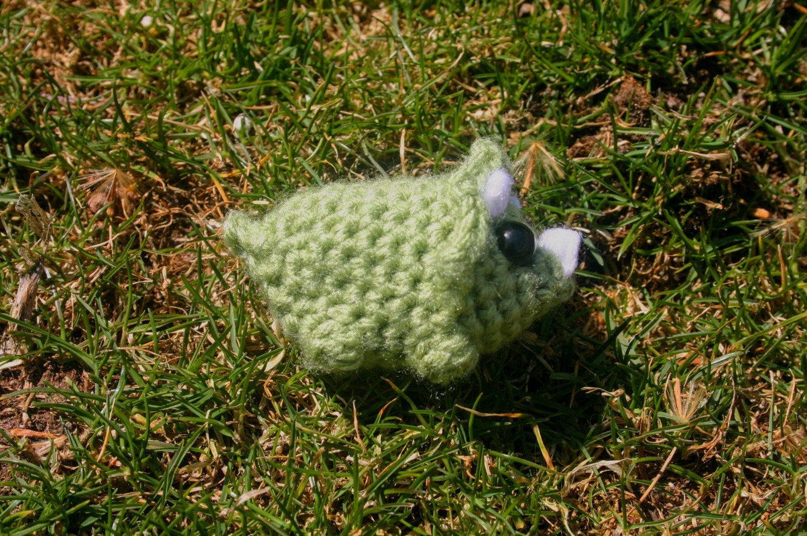 Mini Crochet Dino - MADE TO ORDER | Crochet Triceratops | Crochet ...