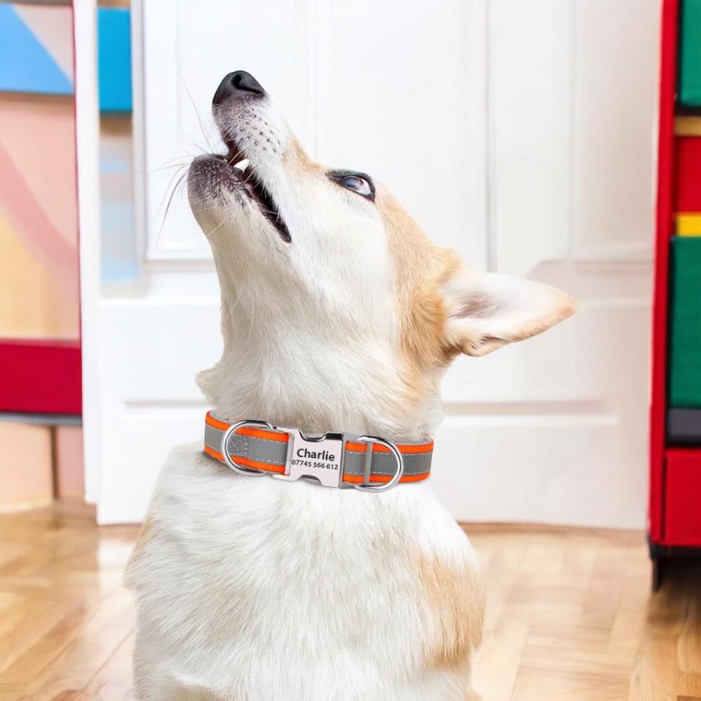 Reflective Nylon Dog Collar - Personalized Engraved ID, Padded ...