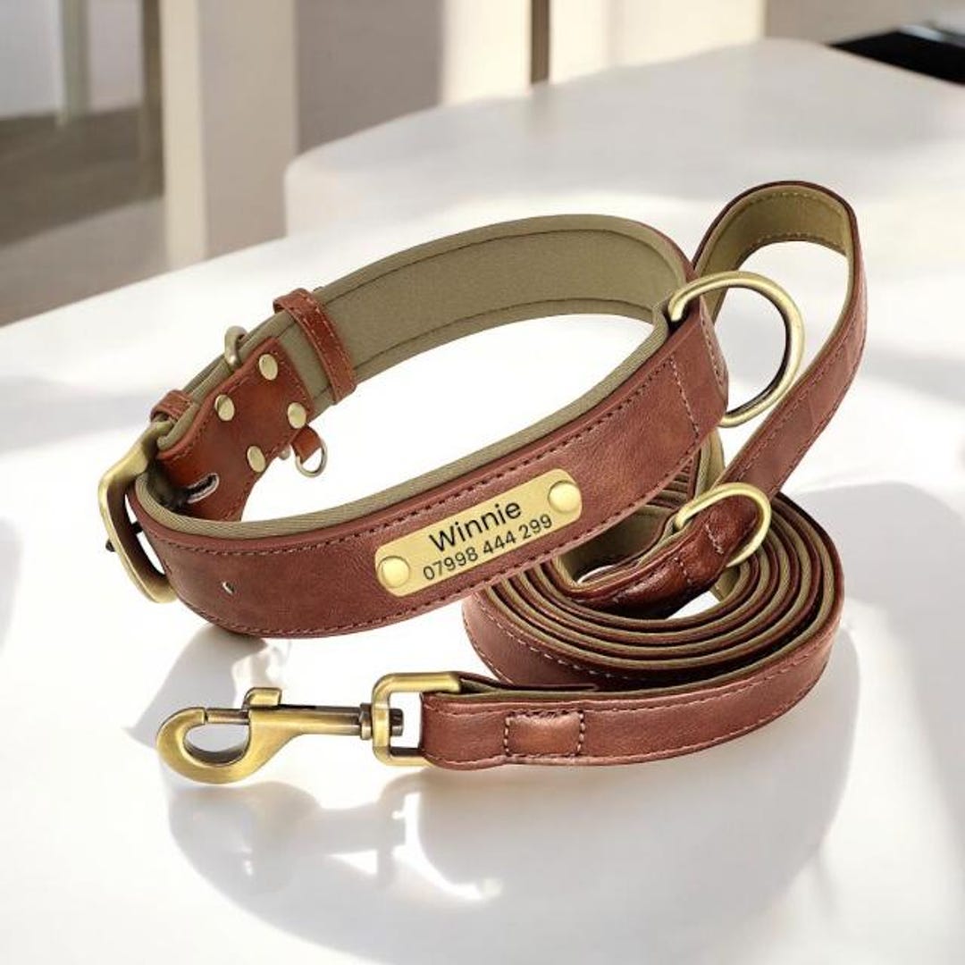 Personalized PU Leather Pet Collar and Leash Set, Engraved Name Plate ...