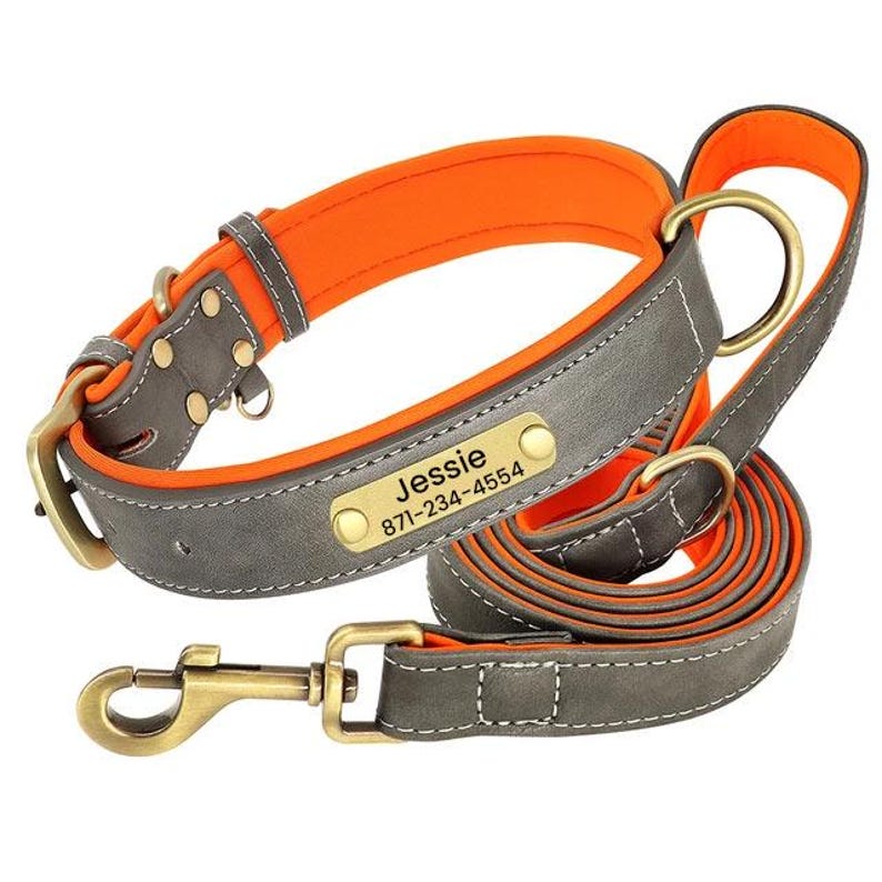 Personalized PU Leather Pet Collar and Leash Set, Engraved Name Plate ...