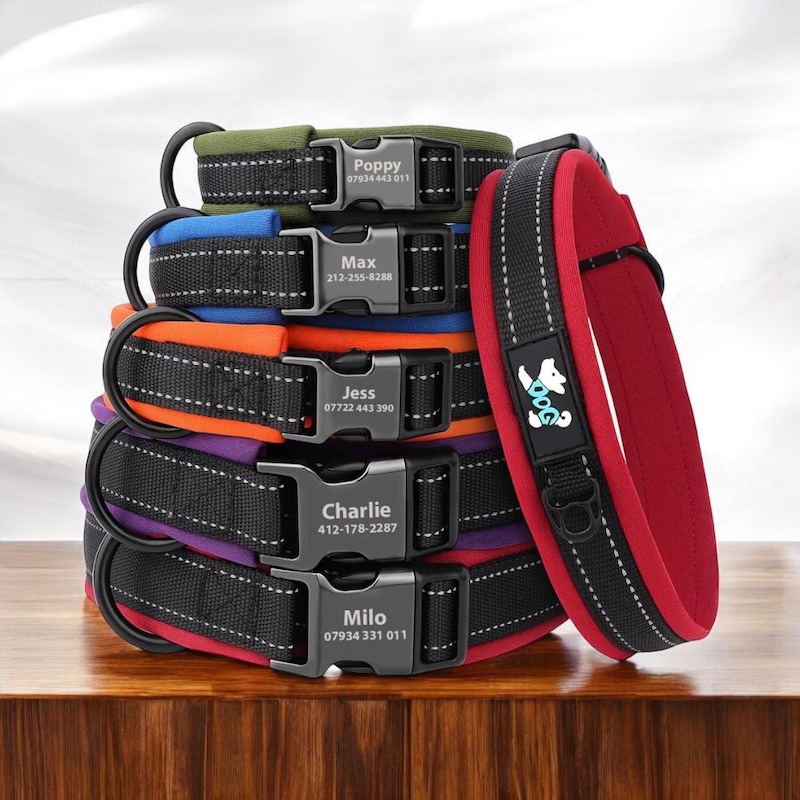 Unique Dog Collar - Etsy