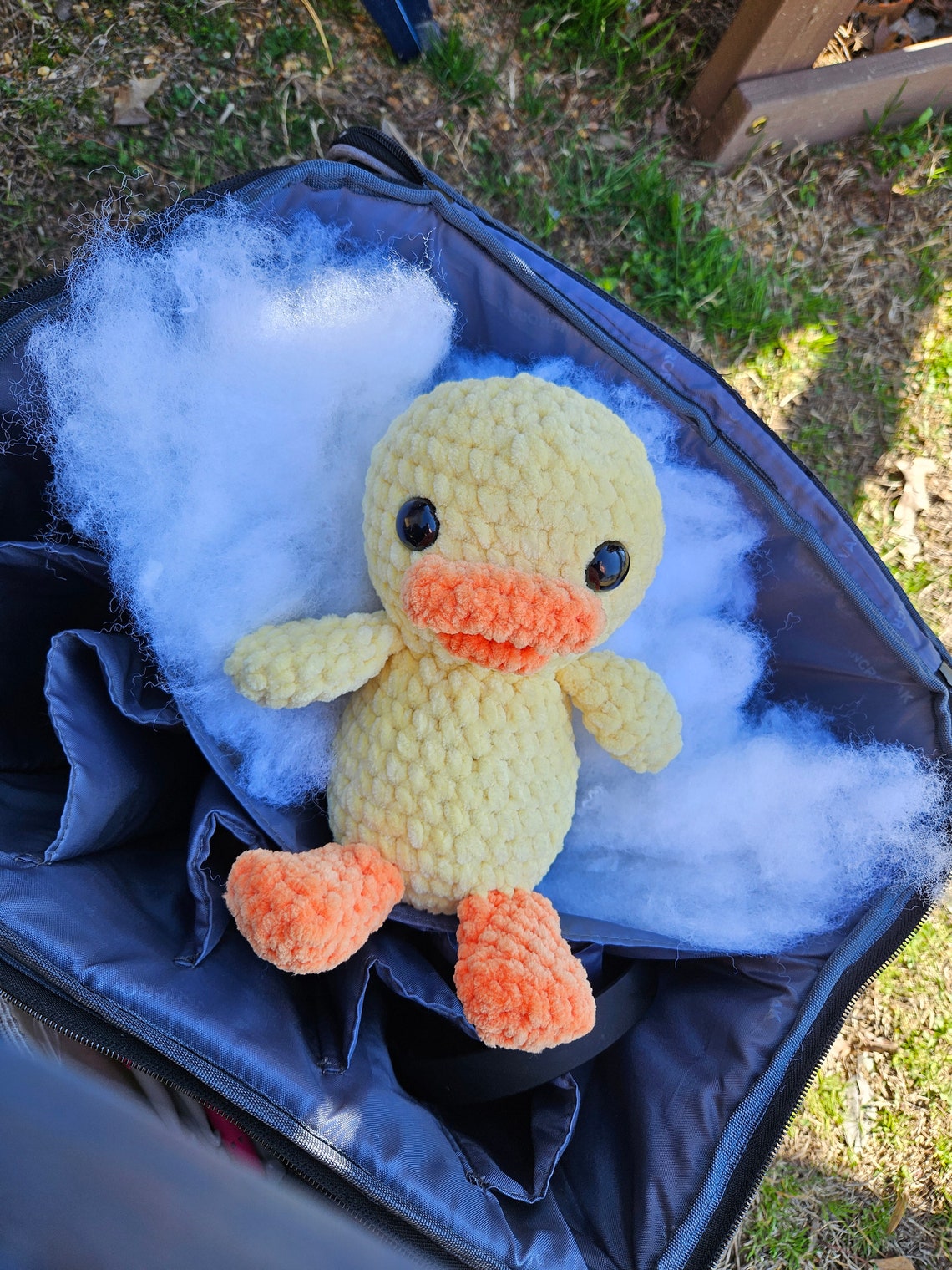 Duckling With Floatie/duck With Frog Pool Floatie/duckling With Pool ...