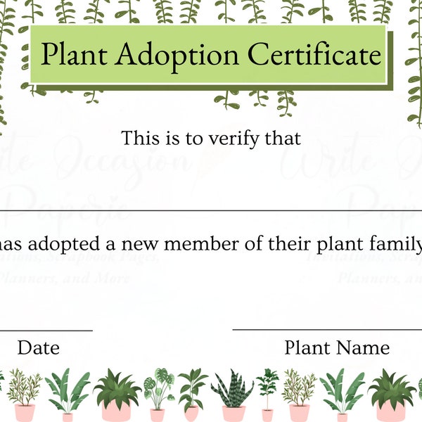 Adoption Grandma - Etsy