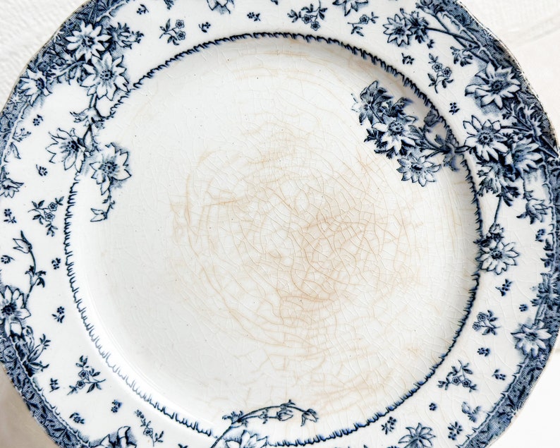 Rare Antique Doulton Burslem Dessert Plates, ALBERT Pattern Antique 7 ...