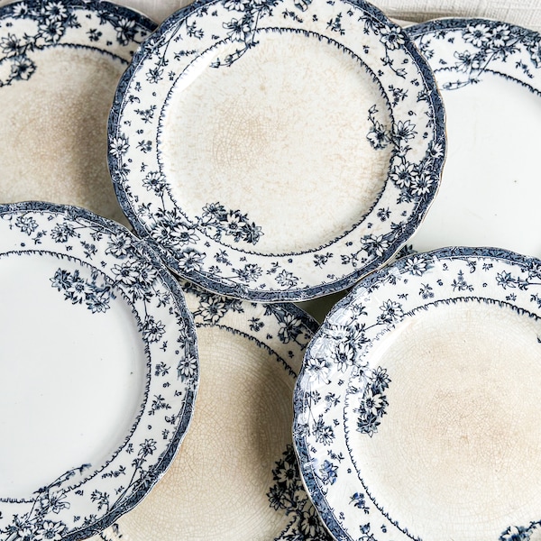 Antique Porcelain Dinner Plates - Etsy