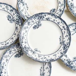Rare Antique Doulton Burslem Dessert Plates, ALBERT Pattern Antique 7 ...
