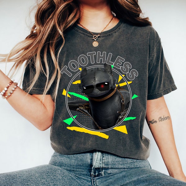 Toothless Party - Etsy