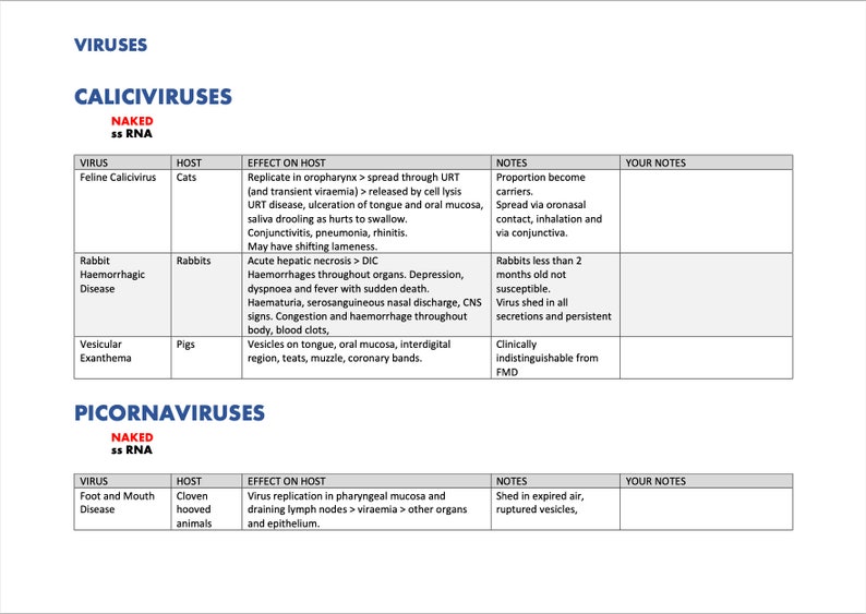 Veterinary Virology Cheat Sheet - Etsy