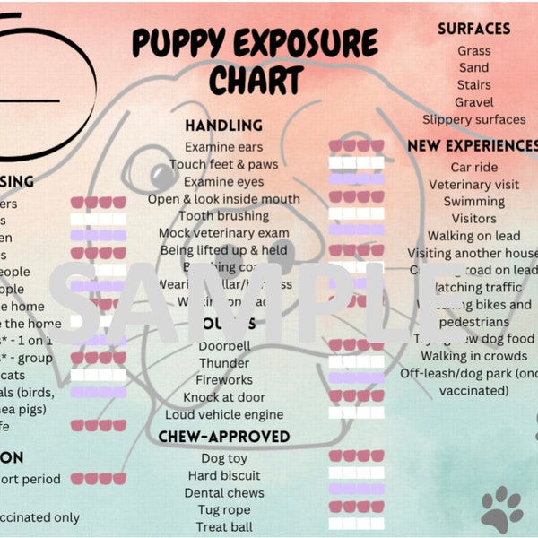 Exposure Chart - Etsy