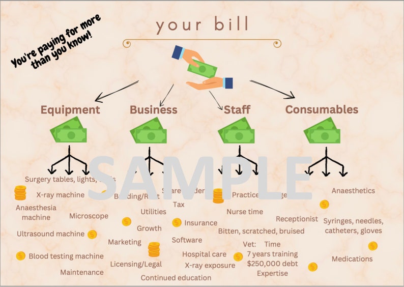 Vet Clinic Costs Explained Poster - Etsy
