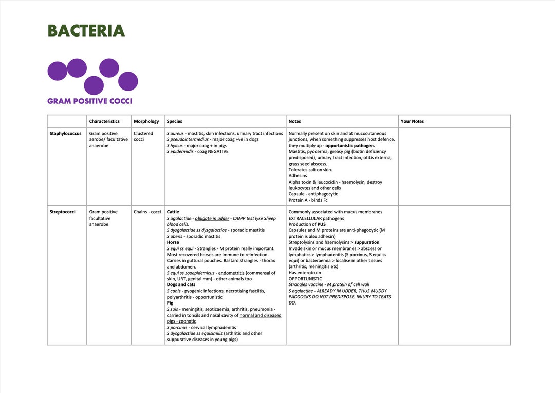 Veterinary Bacteria Cheat Sheet - Etsy