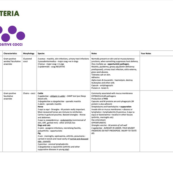 Veterinary Medicine Cheat Sheet - Etsy