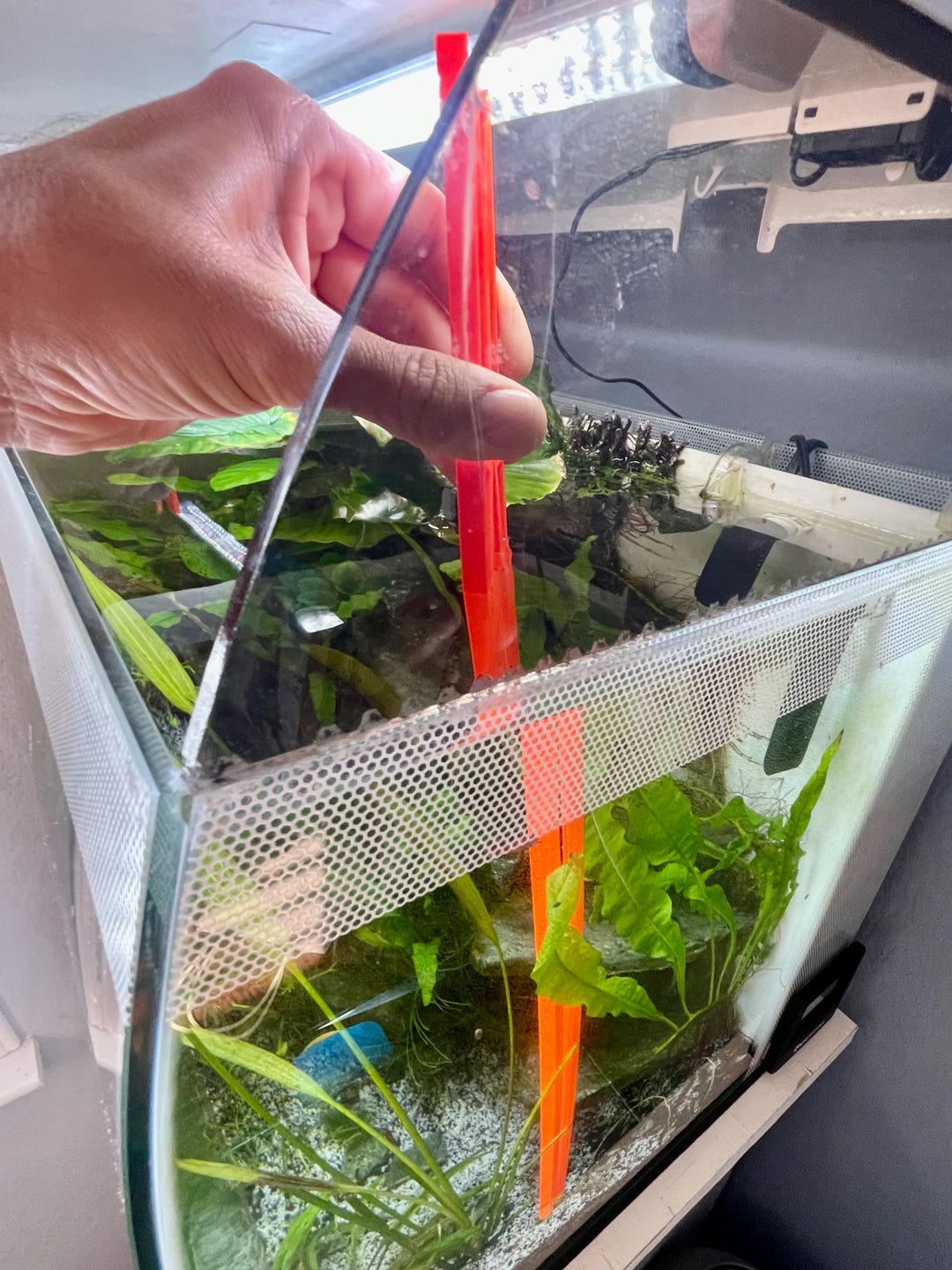 Blemished Items UV 18 Tongs, Betta Logs and More Items That Need Love ...