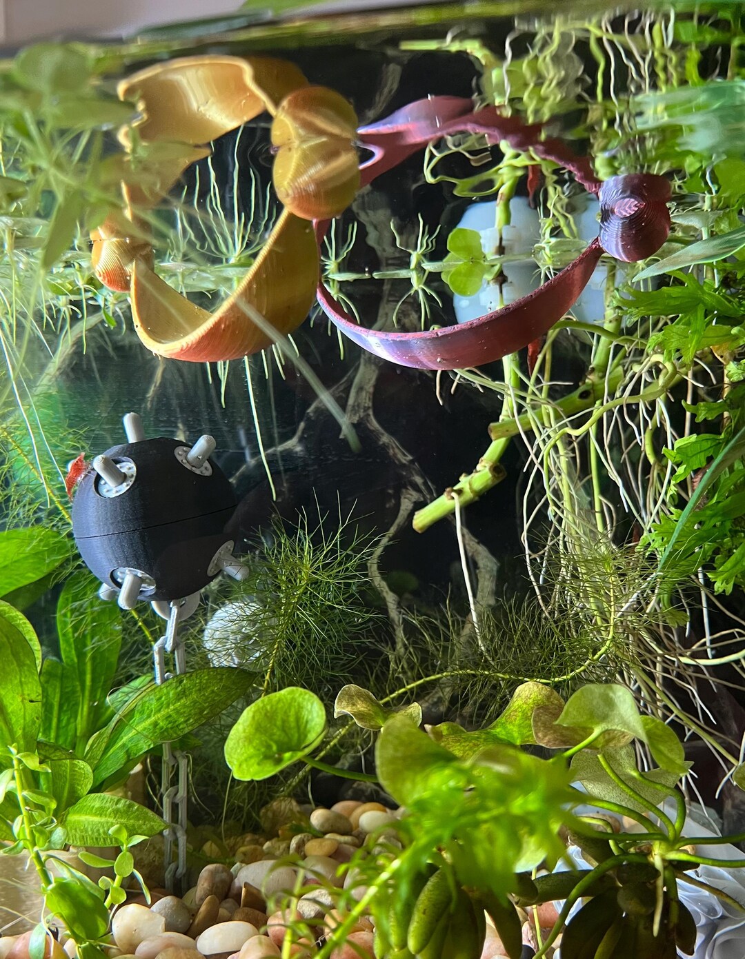 Floating Betta Hammock - Simply Iridescent - Etsy