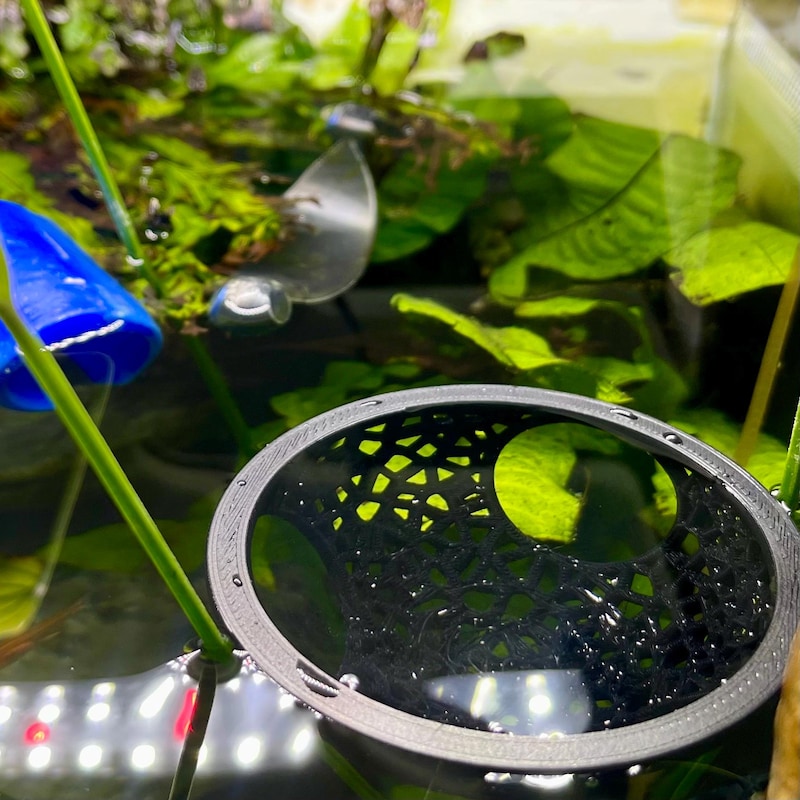 Betta Feeding Portal - Etsy