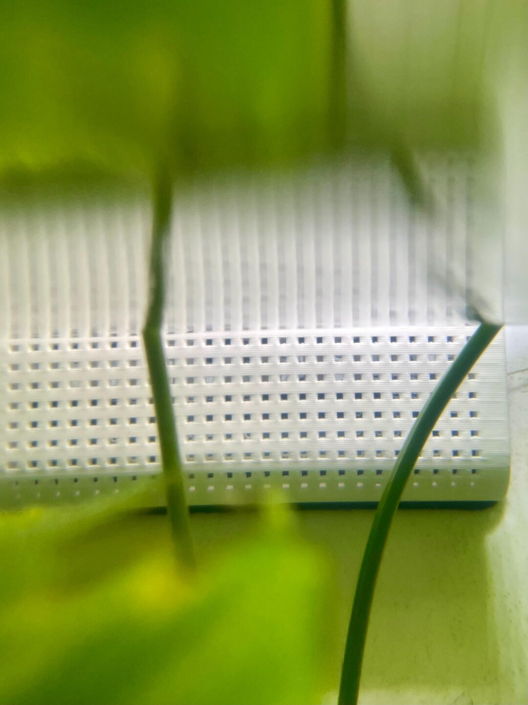 Shrimp Saver: Fluval Flex/spec/evo Intake Cover, 5gal up to 16gal Tanks ...