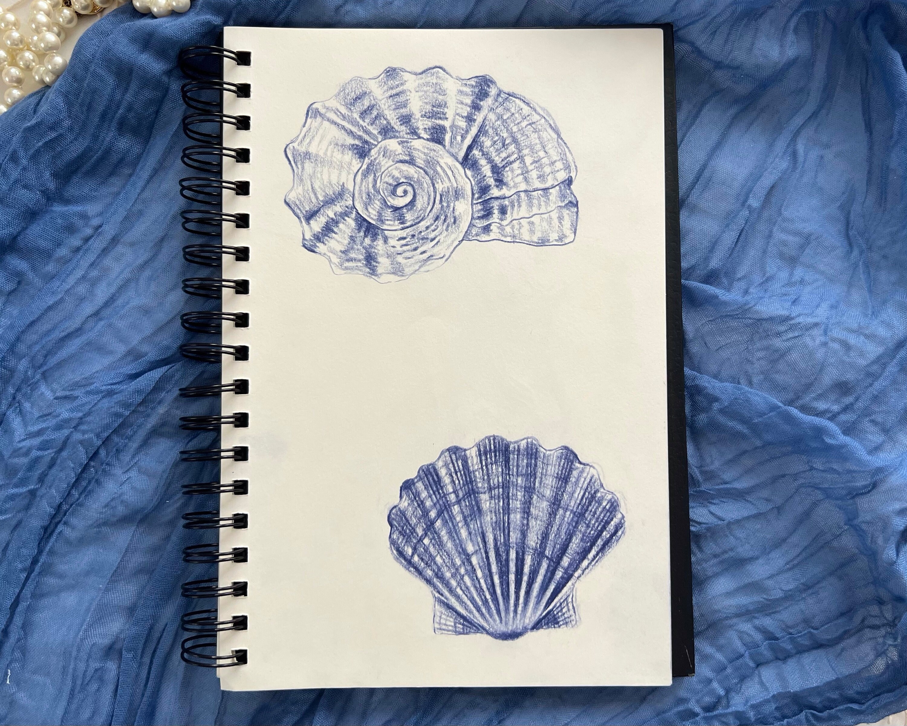 Seashells Drawing • Mermaids and Sirens Series - Etsy