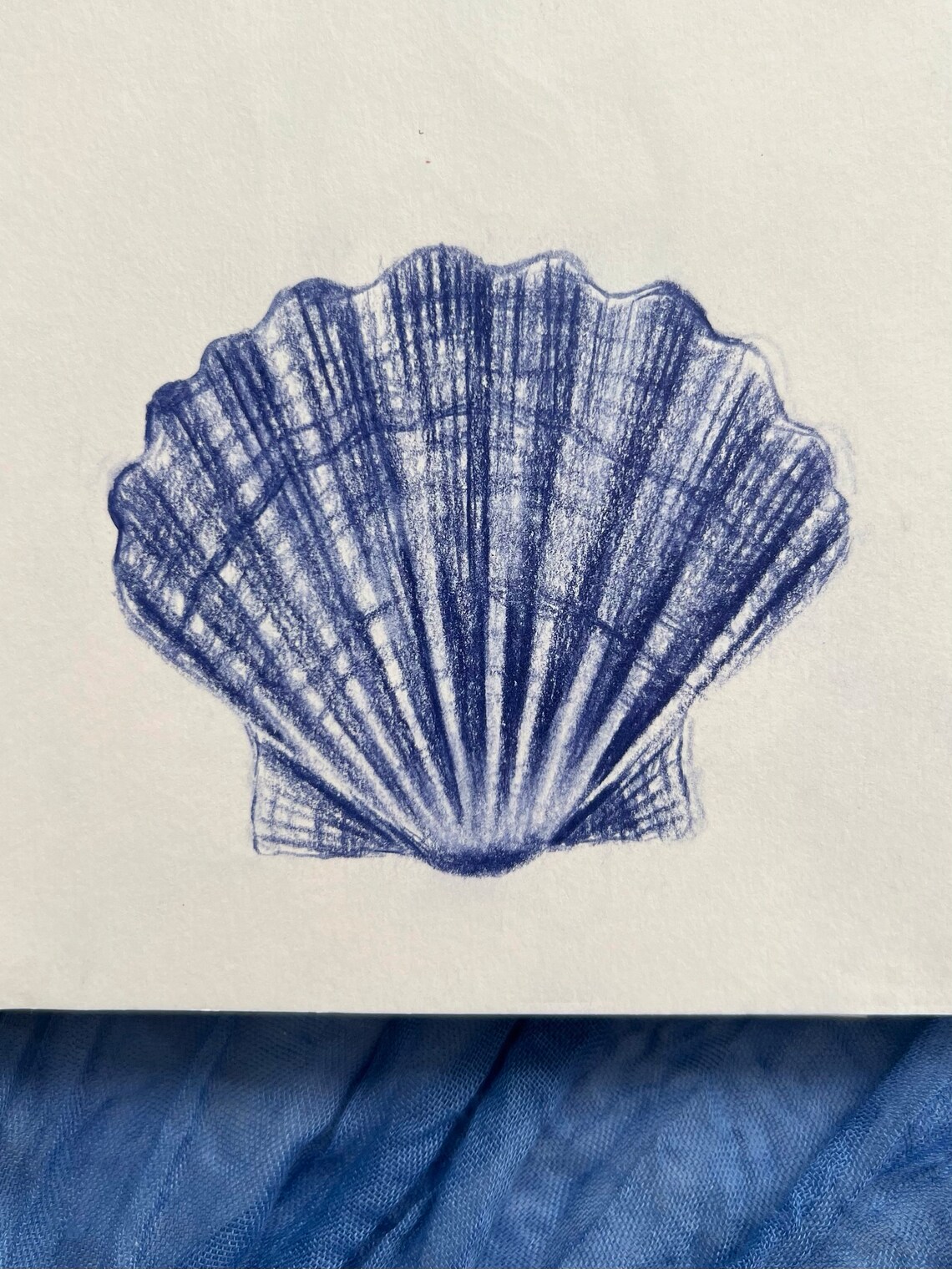 Seashells Drawing • Mermaids and Sirens Series - Etsy