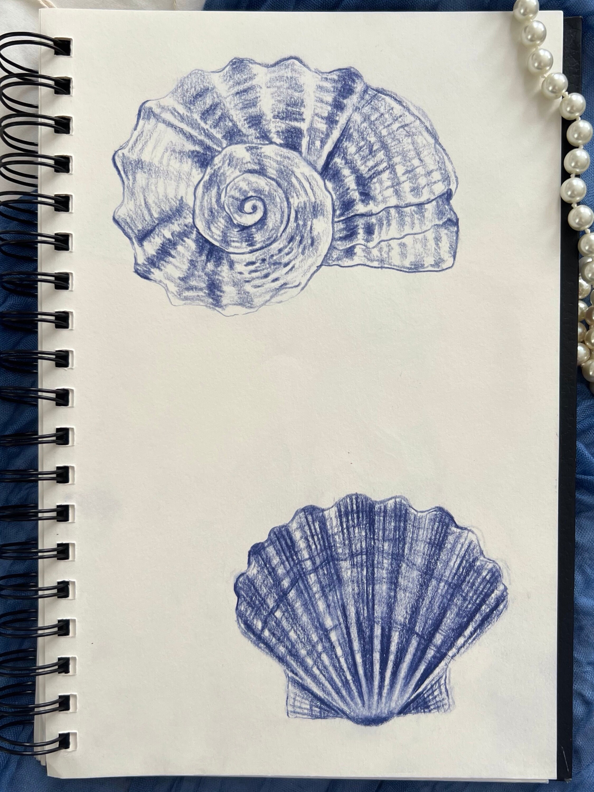 Seashells Drawing Mermaids and Sirens Series - Etsy