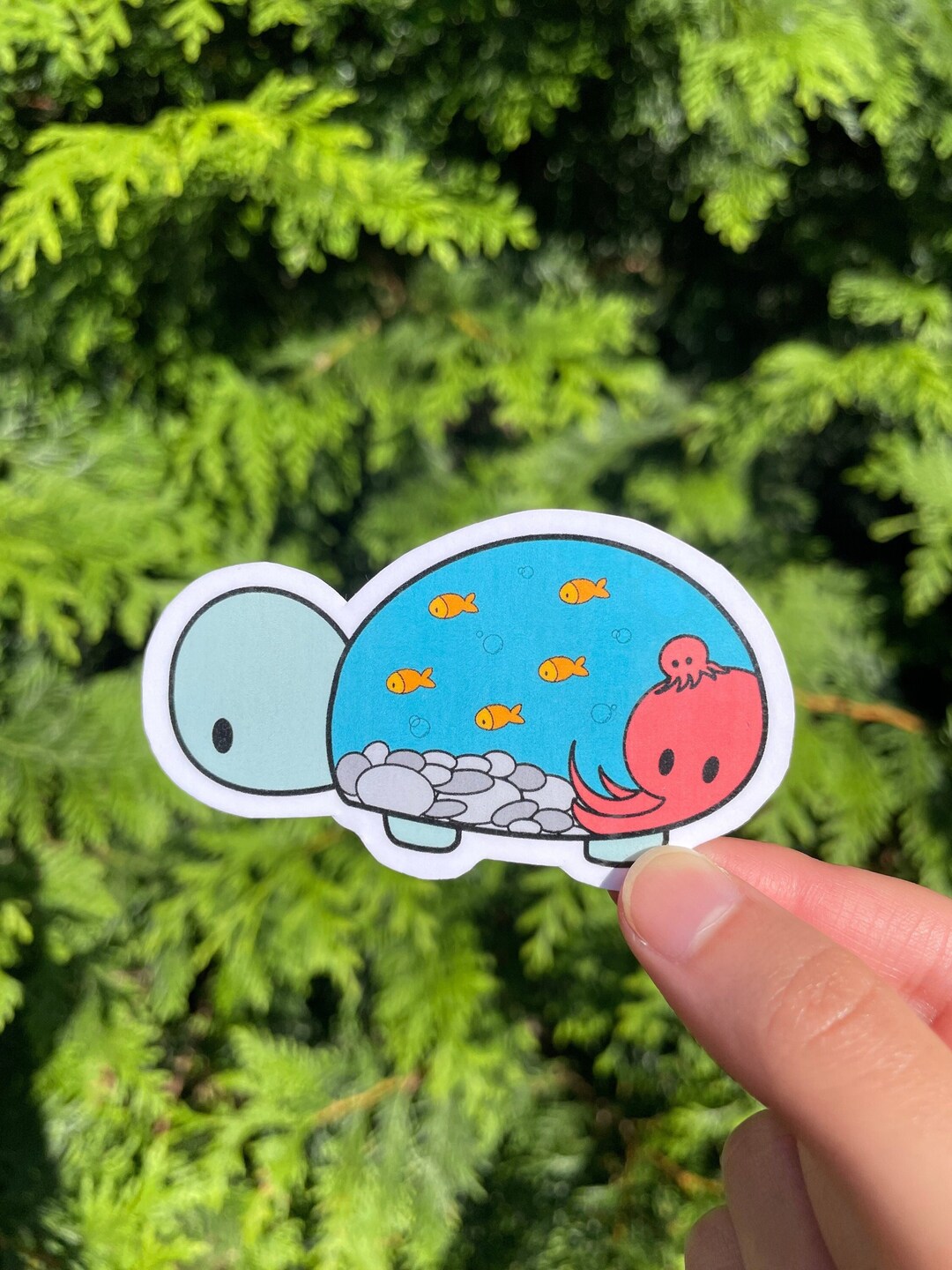 Sea Turtle Sticker | Laptop Sticker | Bullet Journal Sticker - Etsy