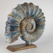 Sea Shell Statue Large Conch Sculpture Lake House Decor - Etsy