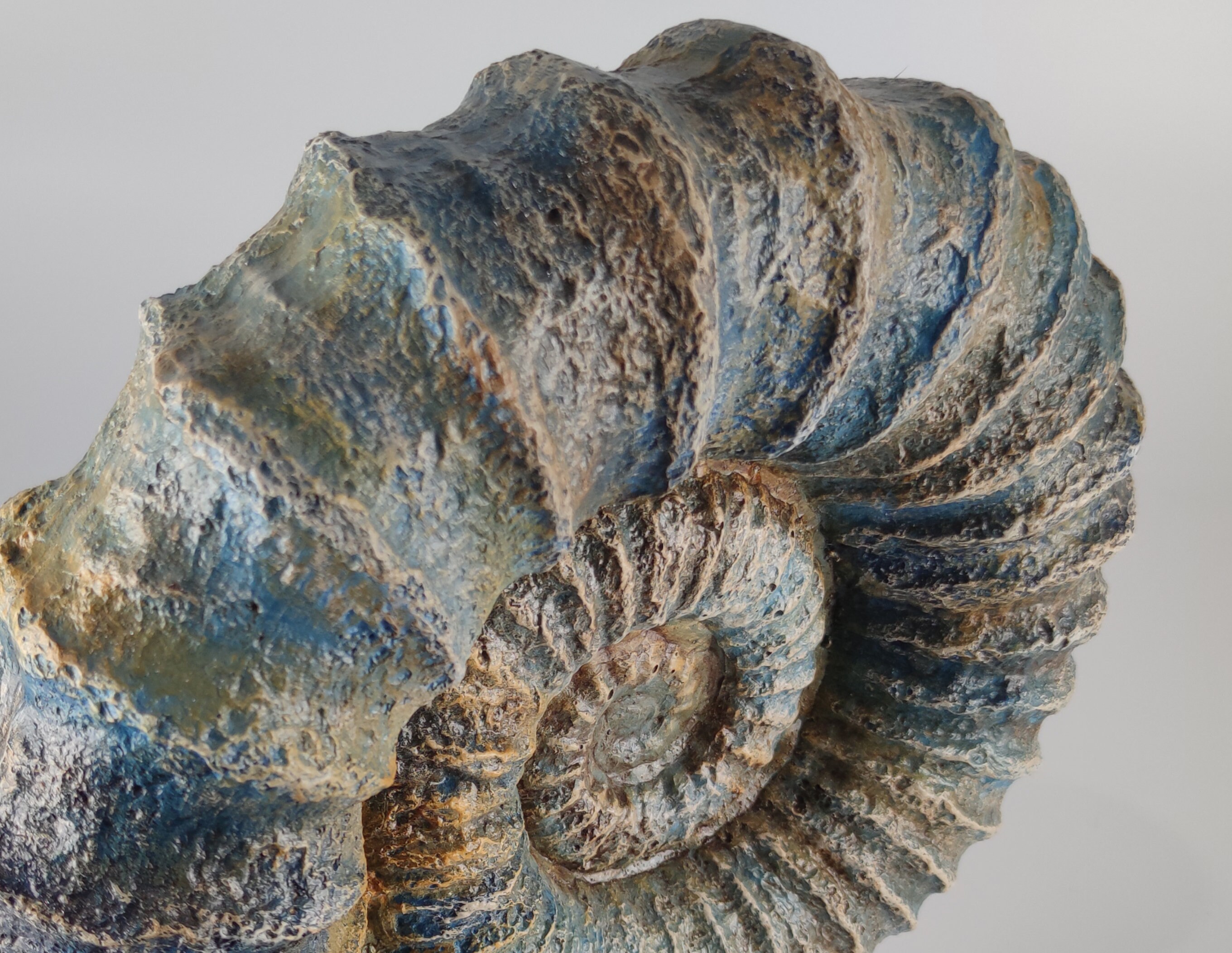 Sea Shell Statue Large Conch Sculpture Lake House Decor - Etsy