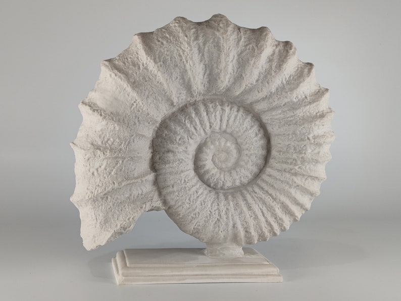 Sea Shell Statue Large Conch Sculpture Lake House Decor - Etsy