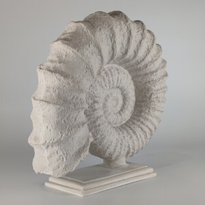 Sea Shell Statue Large Conch Sculpture Lake House Decor - Etsy