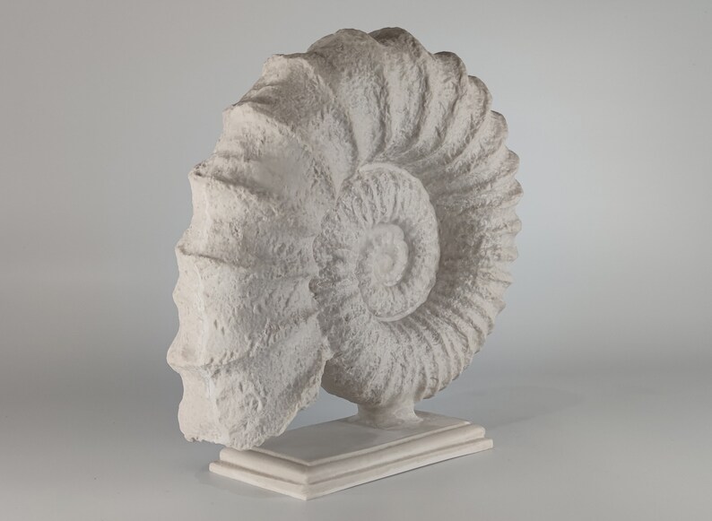 Sea Shell Statue Large Conch Sculpture Lake House Decor - Etsy