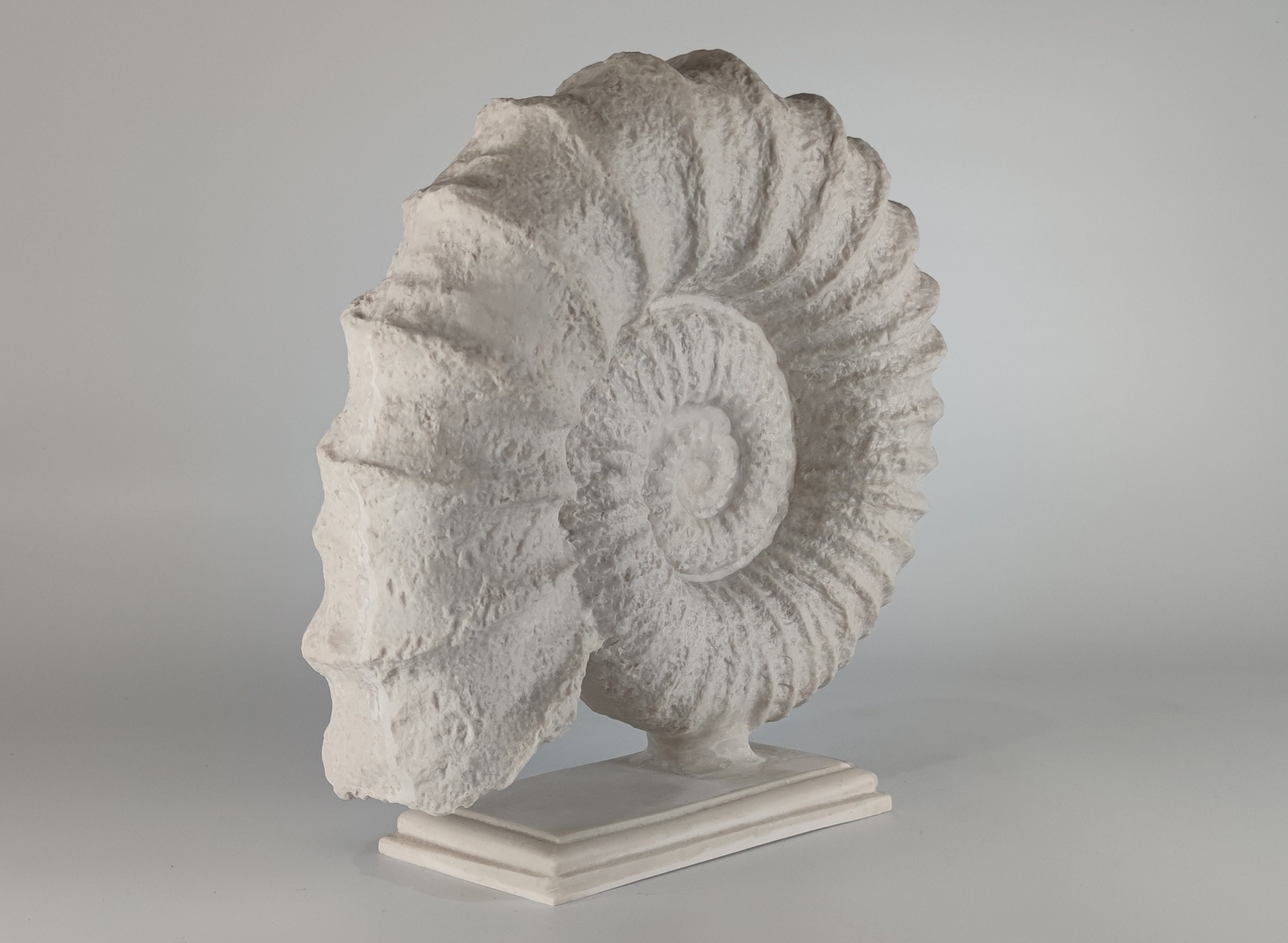 Sea Shell Statue Large Conch Sculpture Lake House Decor - Etsy