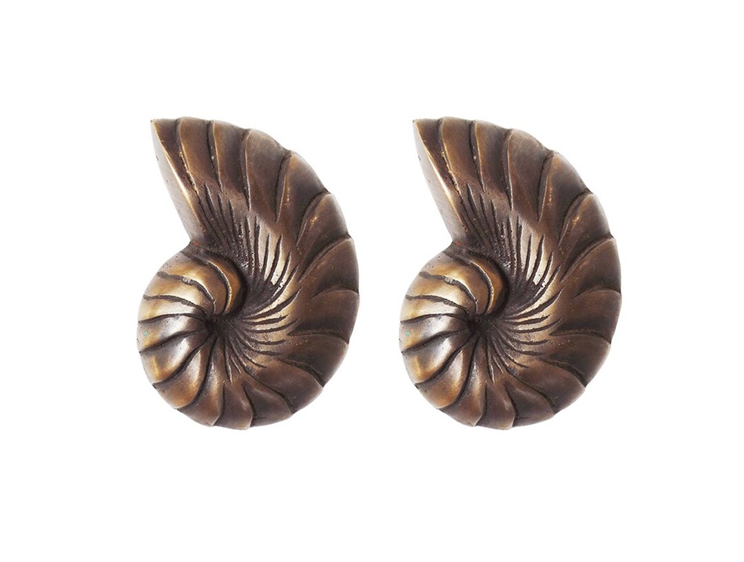 3.5" Set of Vintage Solid Brass Nautilus Curtain Tie Back Hooks Hanger ...