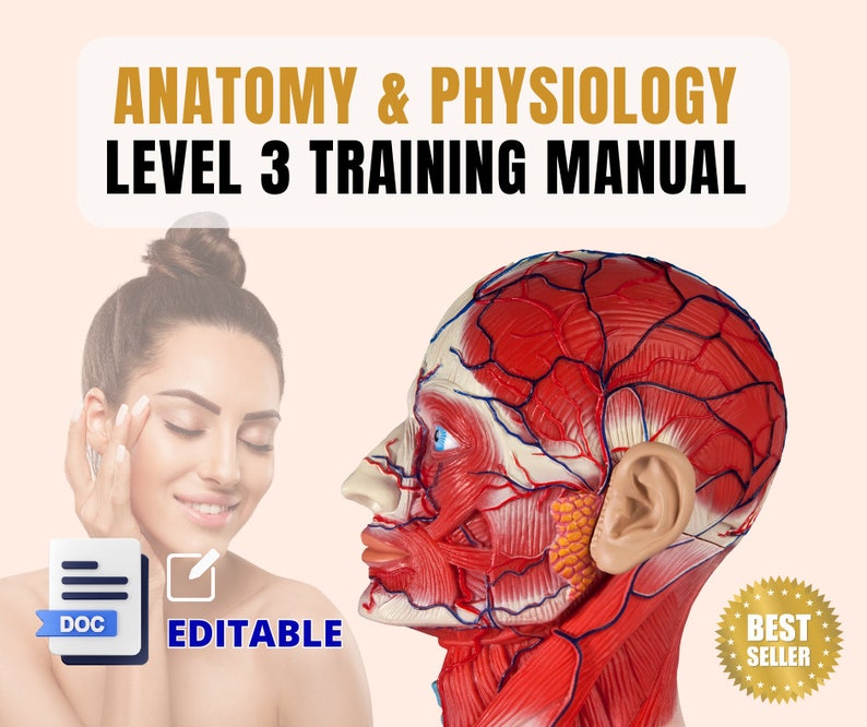 ANATOMY & PHYSIOLOGY Level 3 EDITABLE and Printable Training Manual ...