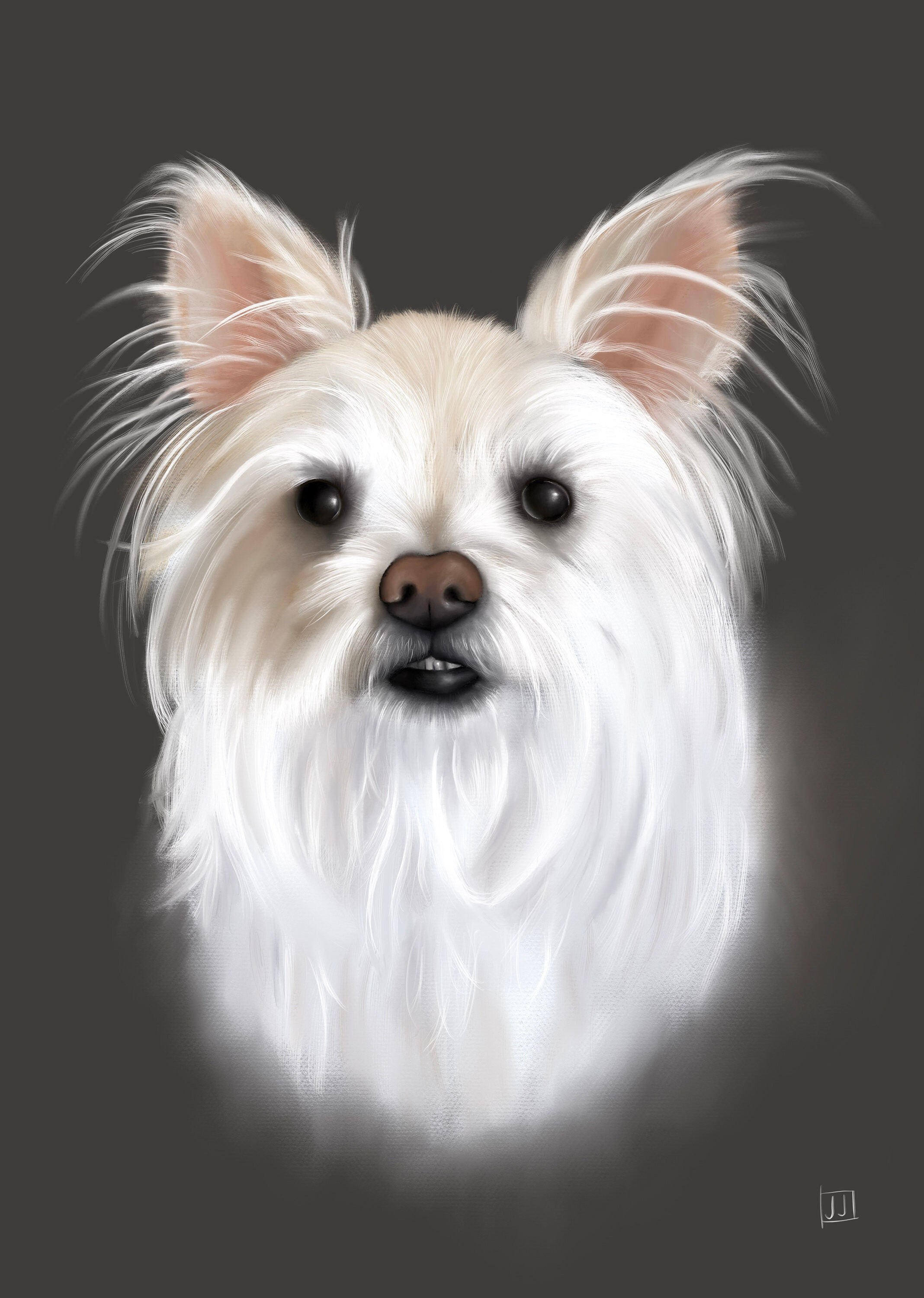 Custom Pet Portraits / Pet Memorial / Artist's Bespoke Pet Portraits ...