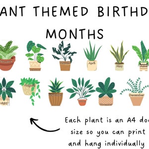 Plant Theme Birthday Display Chart: Classroom Decor (canva Template) - Etsy