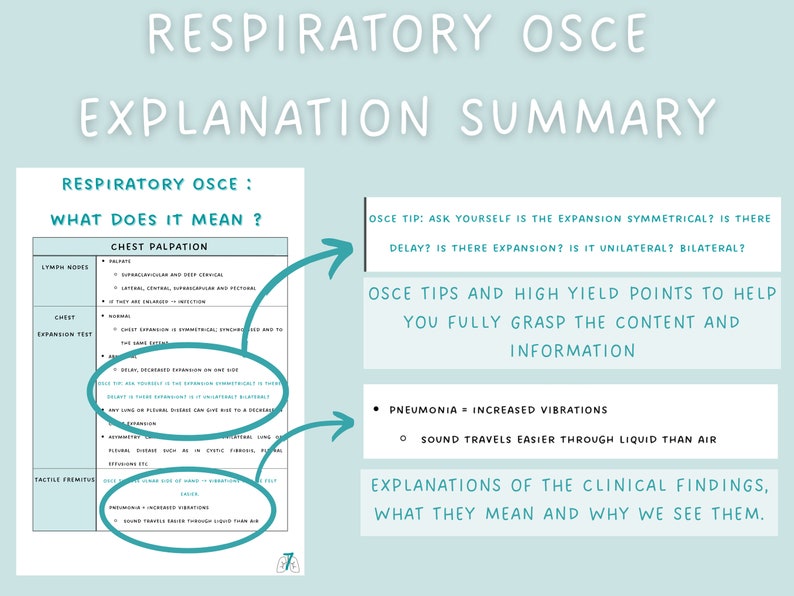 Full Respiratory Physical Exam Explanation, Respiratory OSCE Summary ...