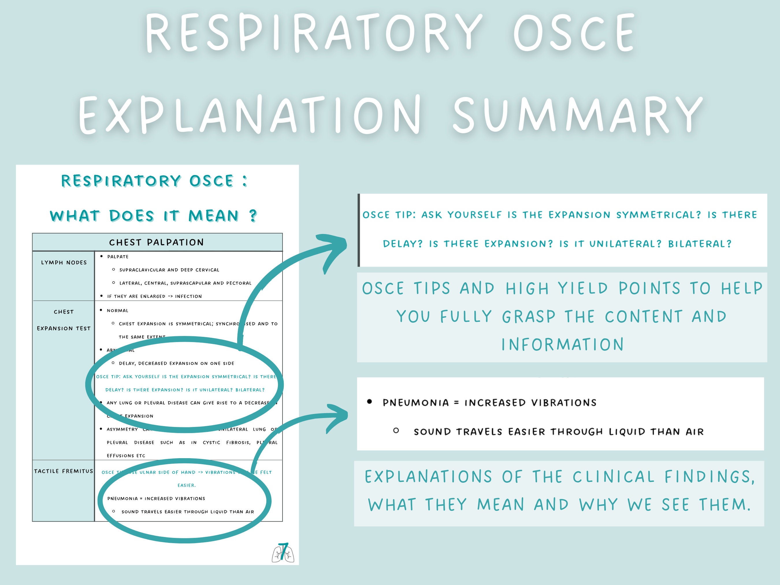 Full Respiratory Physical Exam Explanation, Respiratory OSCE Summary ...