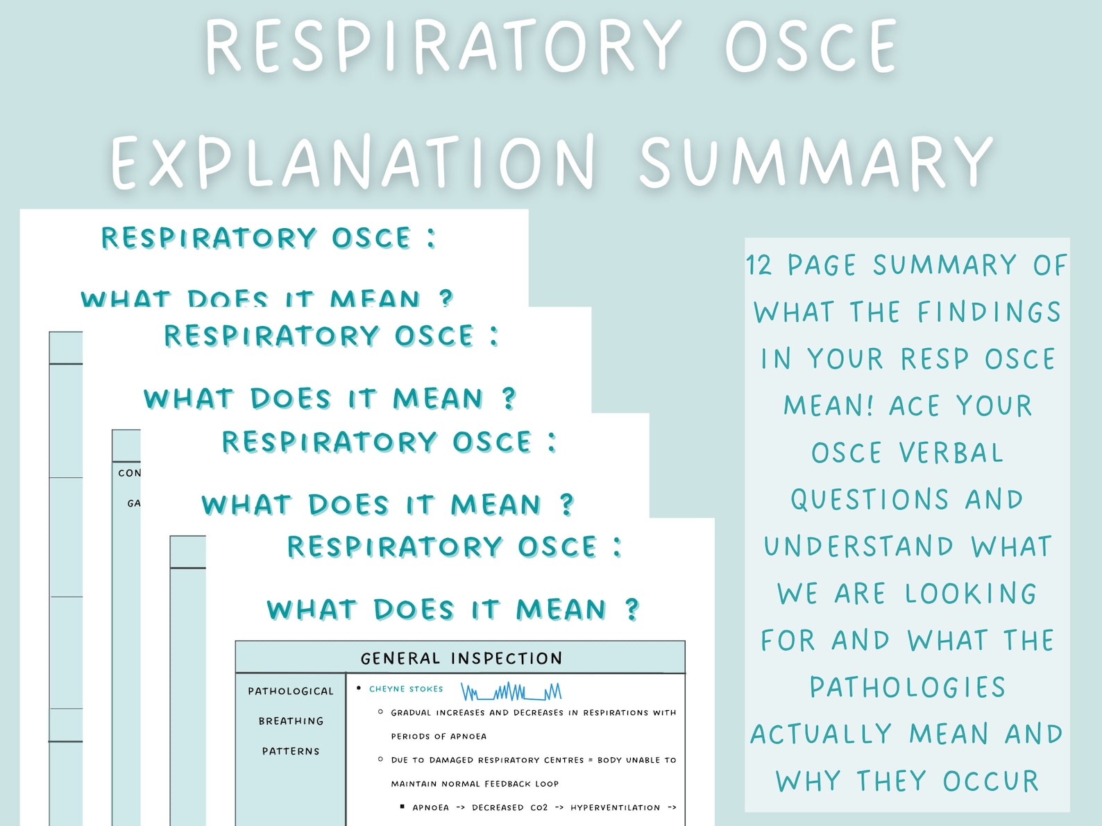 Full Respiratory Physical Exam Explanation, Respiratory OSCE Summary ...