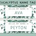 Modern Farmhouse Eucalyptus Themed Editable Classroom Name Tags Label ...