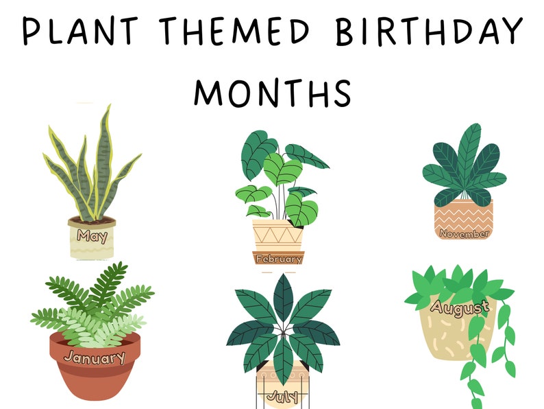 Plant Theme Birthday Display Chart: Classroom Decor (canva Template) - Etsy